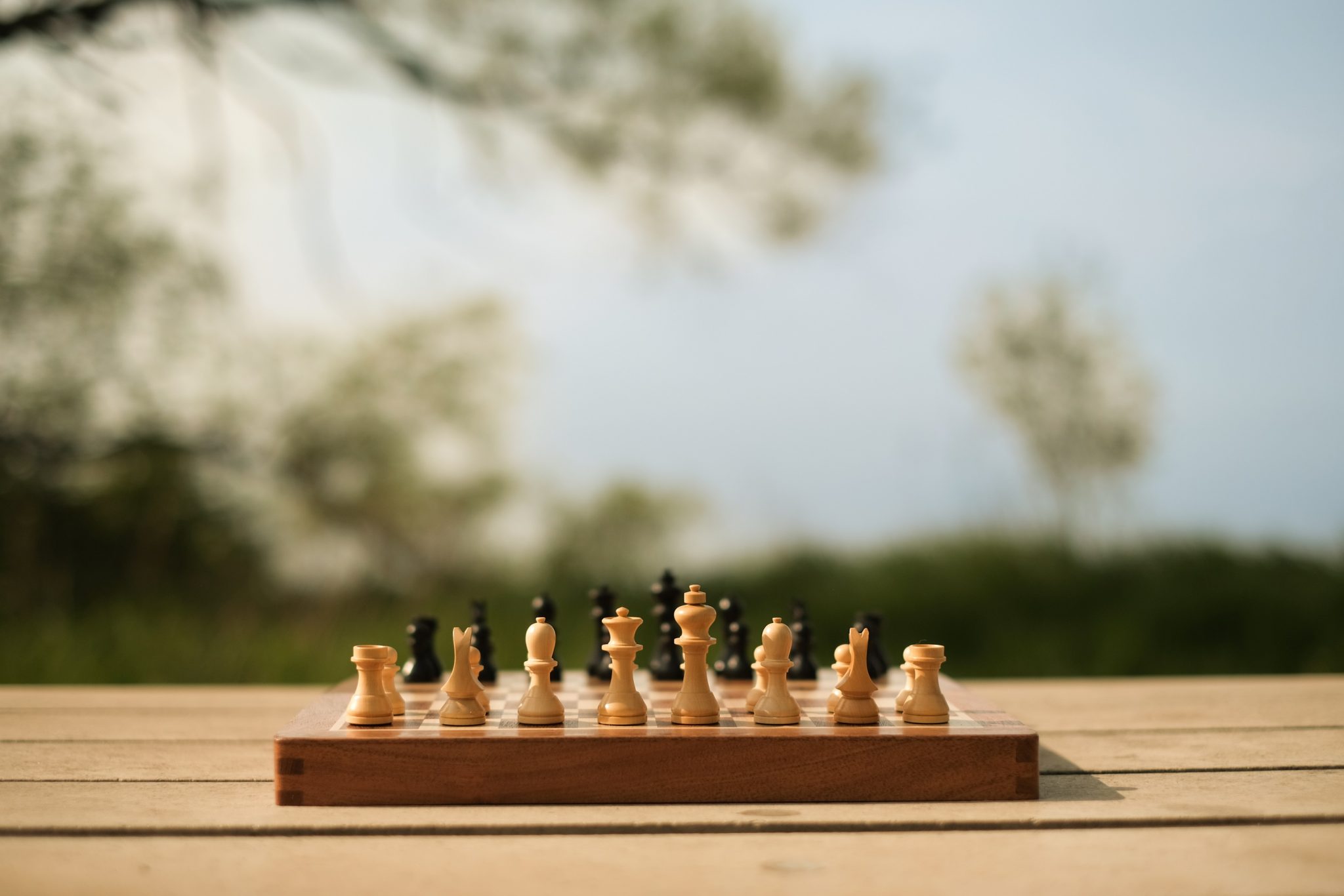 World Chess - 12" Travel Chess Set - ChessBaron Chess Sets Canada ...